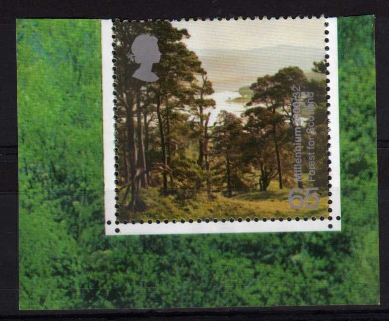 2000 65P FOREST DOIRE DACH EX BKLT PANE