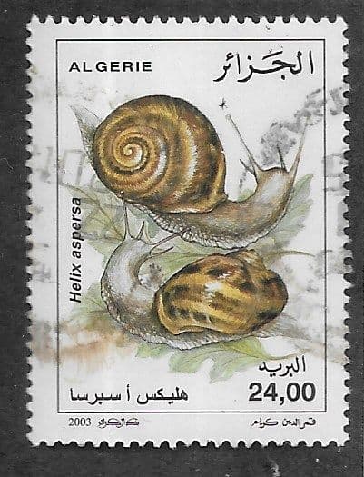 2003 24d SNAILS FINE USED